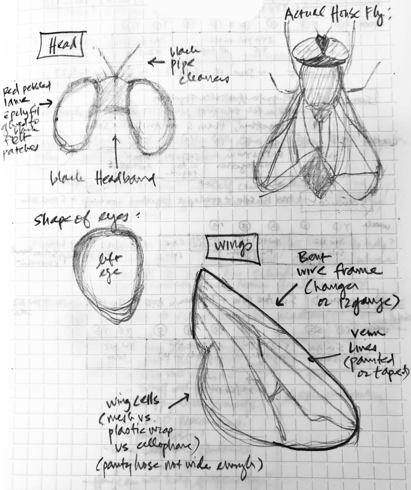 DIY Supa Fly: make a house fly costume – Sophy S. Wong, MD